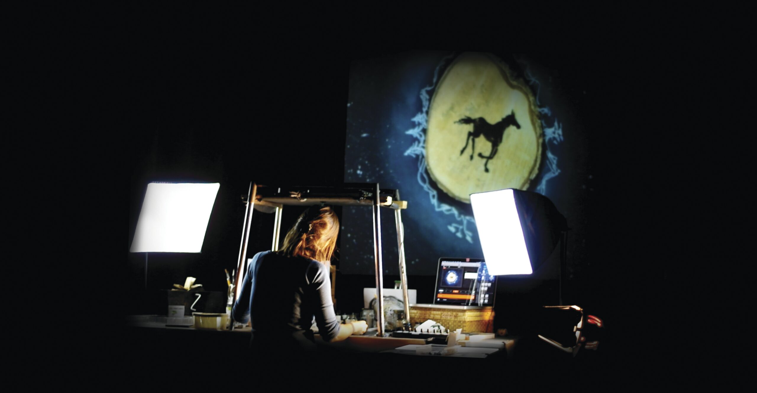 CULTURE | Concert dessiné et animé “Versant Vivant” – Ariège Pyrénées ...